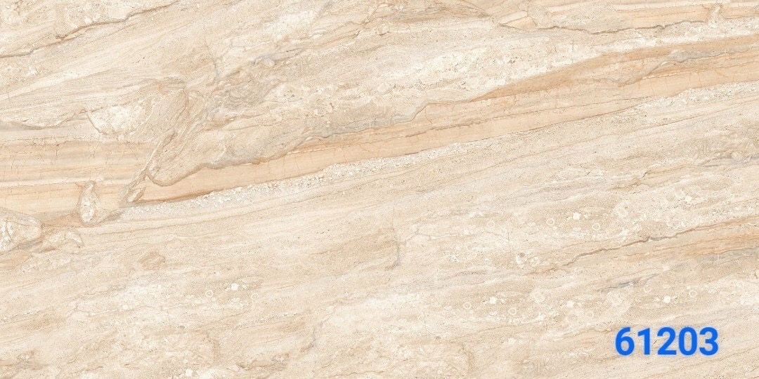 Gạch Ấn Độ 60x120 mã 61203